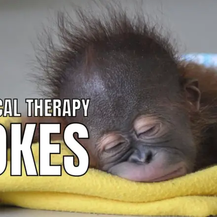 50 Dyslexia Jokes You Shouldn’t Tell A Dyslexic - HumorNama