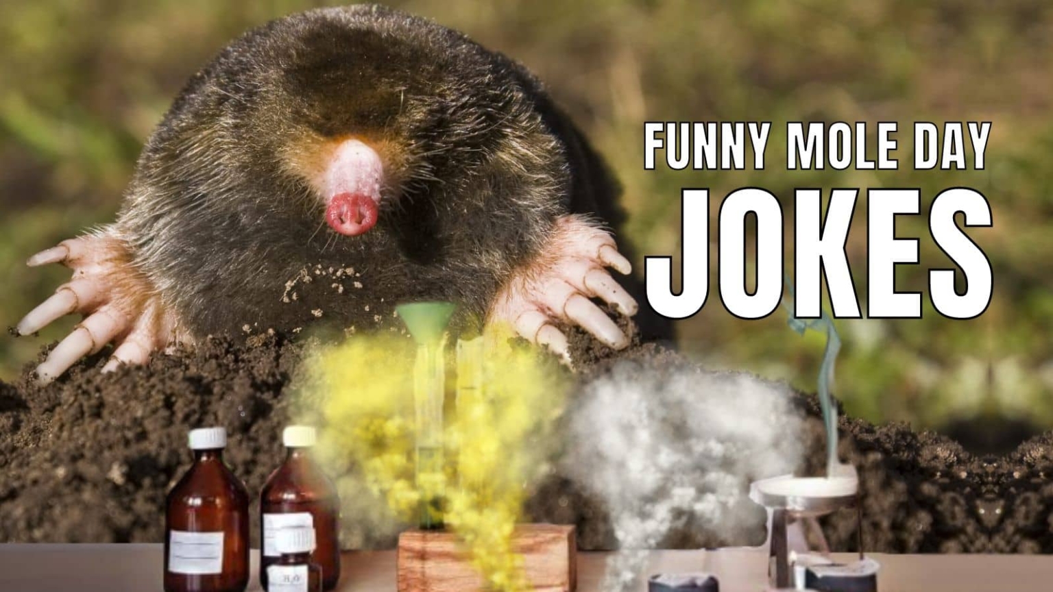 75 Mole Day Jokes And Puns For Chemists In 2025