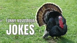 60 Funny November Jokes For The 11th Month Of 2025