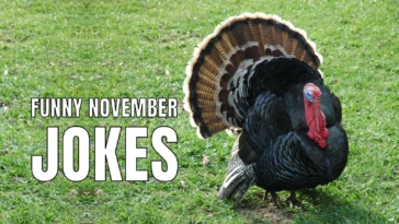 55 Funny November Jokes For The 11th Month Of 2025