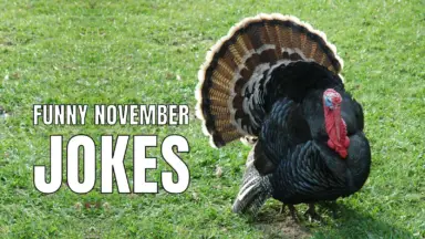 60 Funny November Jokes For The 11th Month Of 2025