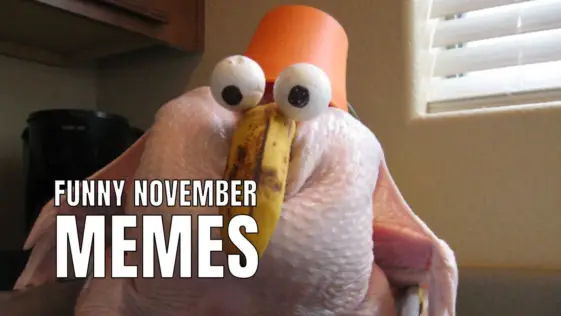 15 Best November Memes For Penultimate Month Of 2025