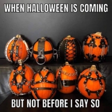 20 Dirty Halloween Memes For Naughty Adults In 2025