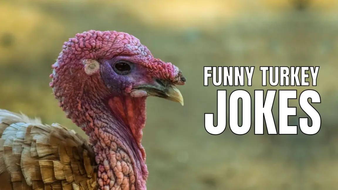 75 Funny Turkey Jokes To Gobble Up This Thanksgiving