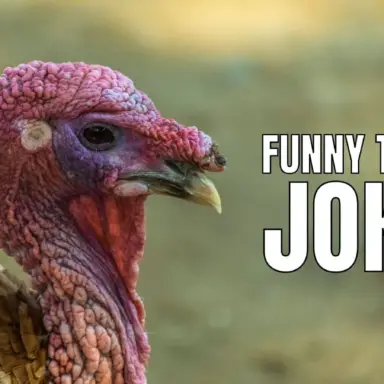 50 Lactose Intolerant Jokes That Won't Give A Stomachache