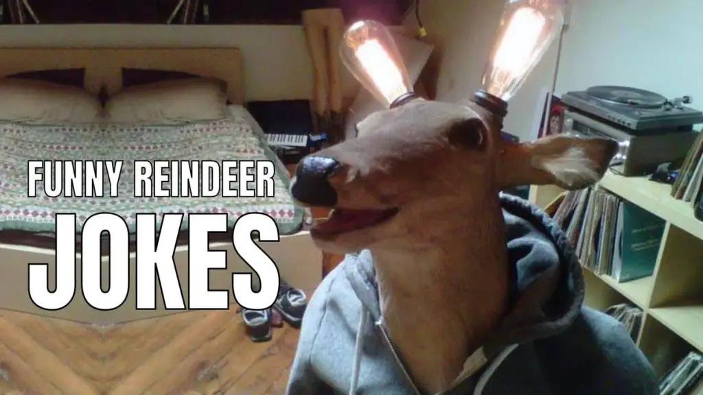 75 Funny Reindeer Jokes For Jolly Christmas In 2025
