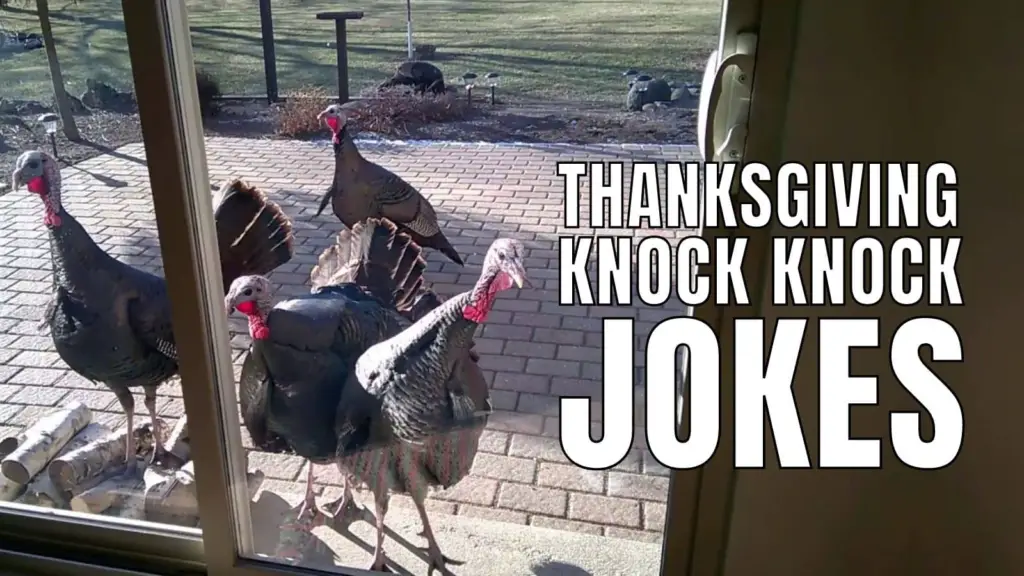 40 Thanksgiving Knock Knock Jokes Your Kids Will Gobble Up