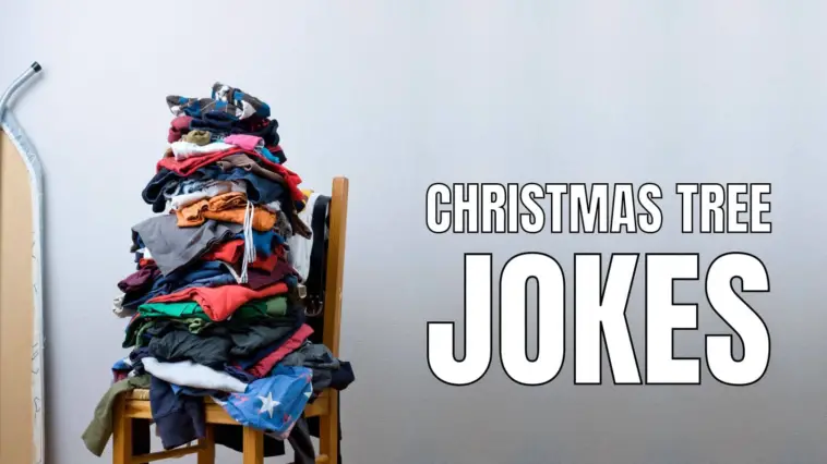 75 Funny Santa Jokes That'll Make You Go HOO HOO HOO