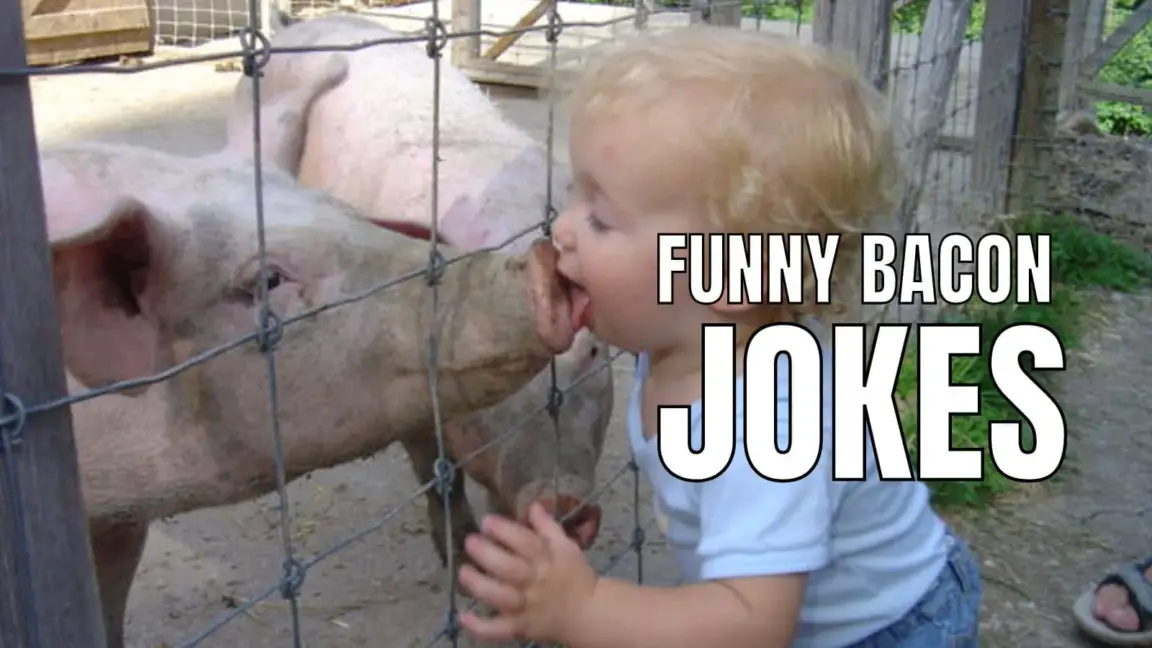 70 Funny Bacon Jokes And Puns That Everyone Will Love