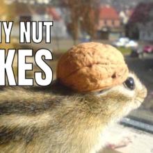 20 Snowflake Jokes & Puns To Get You Through This Winter