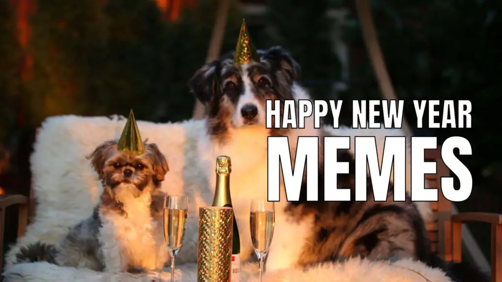 30 Happy New Year Memes To Laugh Your Way Into 2025