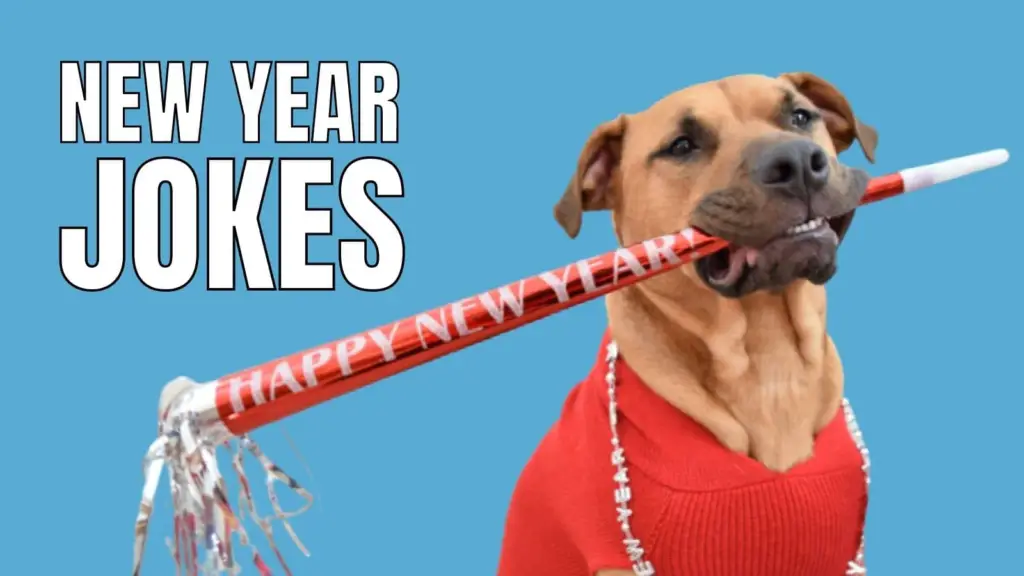 75 Funny New Year Jokes For A Hilarious Start To 2025