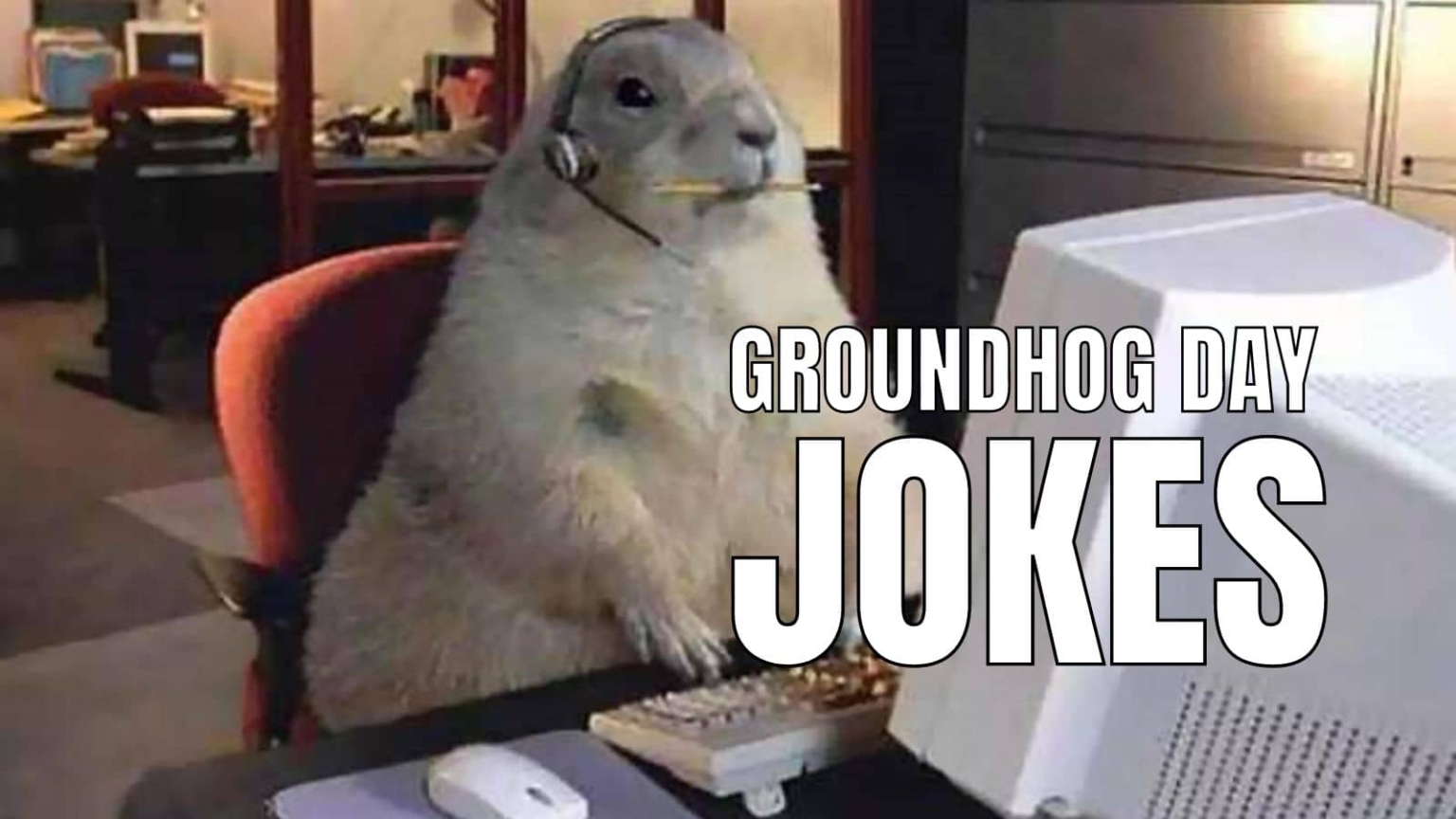 75 Funny Groundhog Day Jokes To Predict Laughs In 2026