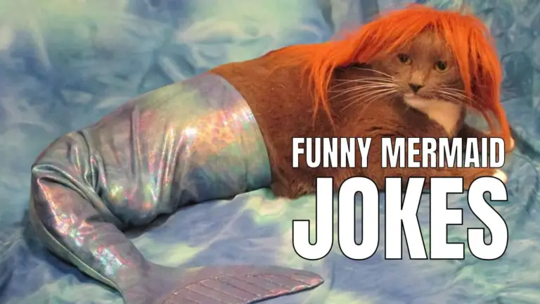 50 Funny Mermaid Jokes That Will Have You Reeling