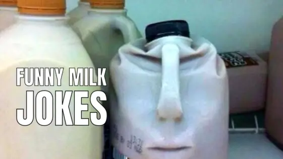 70 Funny Milk Jokes That Aren't Too Cheesy