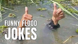 35 Funny Flood Jokes & Puns That Will Keep You Afloat