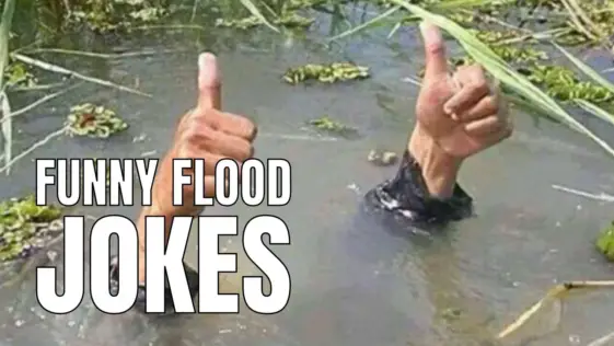 35 Funny Flood Jokes & Puns That Will Keep You Afloat