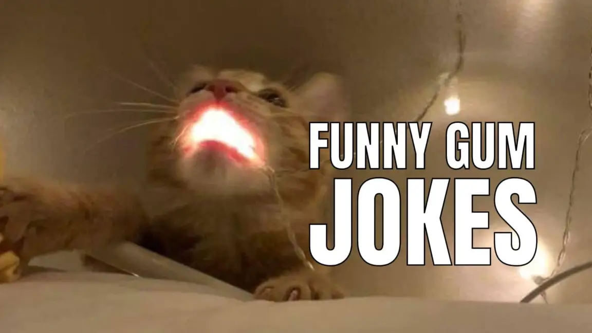 50 Funny Gum Jokes That Are Easy To Swallow