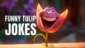 30 Funny Tulip Jokes And Puns To Brighten Your Garden