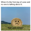 15 Fresh June Memes To Kickstart Your Summer In 2026