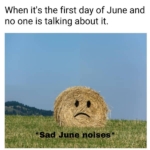15 Fresh June Memes To Kickstart Your Summer In 2026