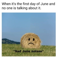 15 Fresh June Memes To Kickstart Your Summer In 2025