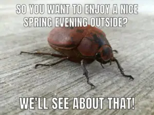 15 Fresh June Memes To Kickstart Your Summer In 2026