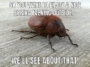 15 Fresh June Memes To Kickstart Your Summer In 2025