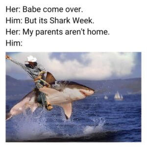 20 Funny Shark Week Memes That Are Fin-tastic In 2025