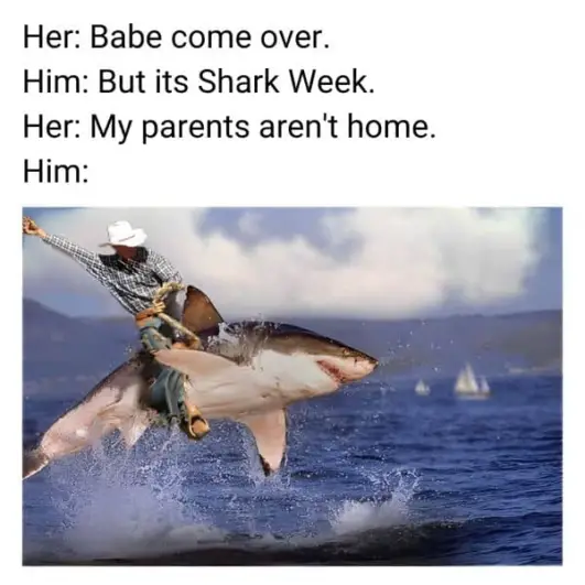 20 Funny Shark Week Memes That Are Fin-tastic In 2025