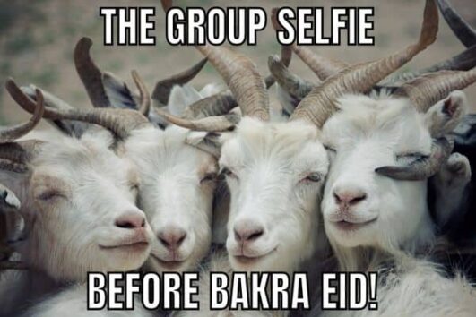 20 Best Eid Al-Adha Memes To Celebrate Bakrid In 2025