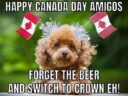 20 Funny Canada Day Memes To Share In 2025