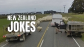 60 Funny New Zealand (NZ) Jokes For Kiwi People In 2024