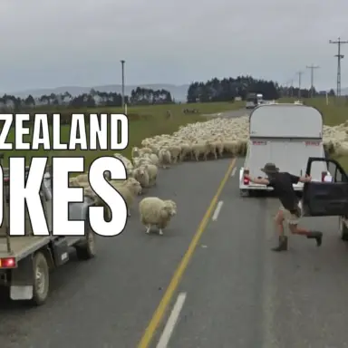 30 Funny Maori Jokes For The Ones Living In Down Under