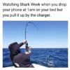 20 Funny Shark Week Memes That Are Fin-tastic In 2025
