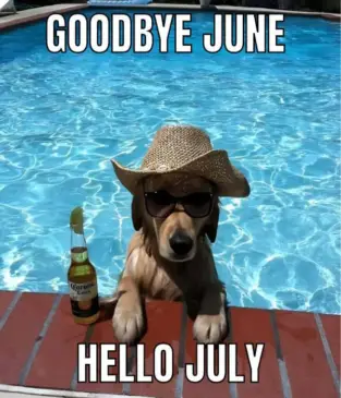 20 Funny July Memes For The Seventh Month Of 2025
