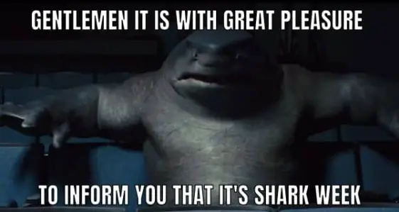 20 Funny Shark Week Memes That Are Fin-tastic In 2023