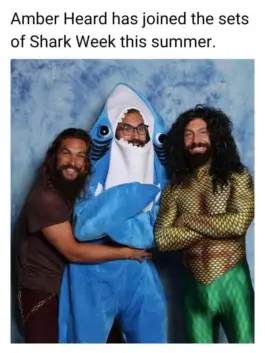 20 Funny Shark Week Memes That Are Fin-tastic In 2025