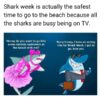 20 Funny Shark Week Memes That Are Fin-tastic In 2025