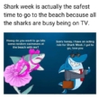 20 Funny Shark Week Memes That Are Fin-tastic In 2025