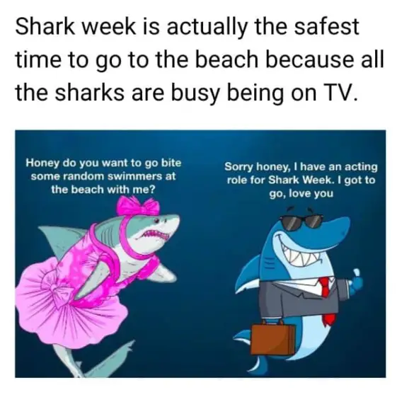 20 Funny Shark Week Memes That Are Fin-tastic In 2025
