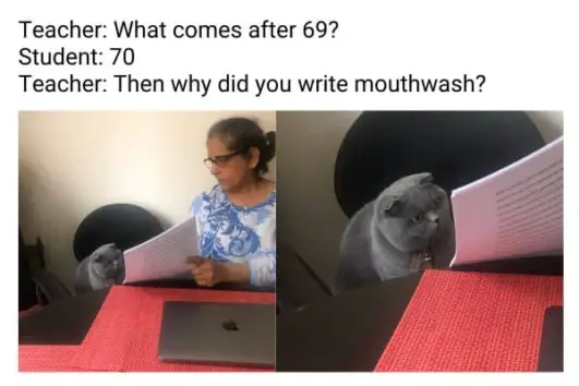 20 Funny 69 Memes The Dirty Adults Can't Get Enough Of