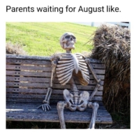 15 Funny August Memes That Are Absolute Gold In 2025