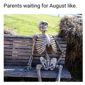 15 Funny August Memes That Are Absolute Gold In 2025