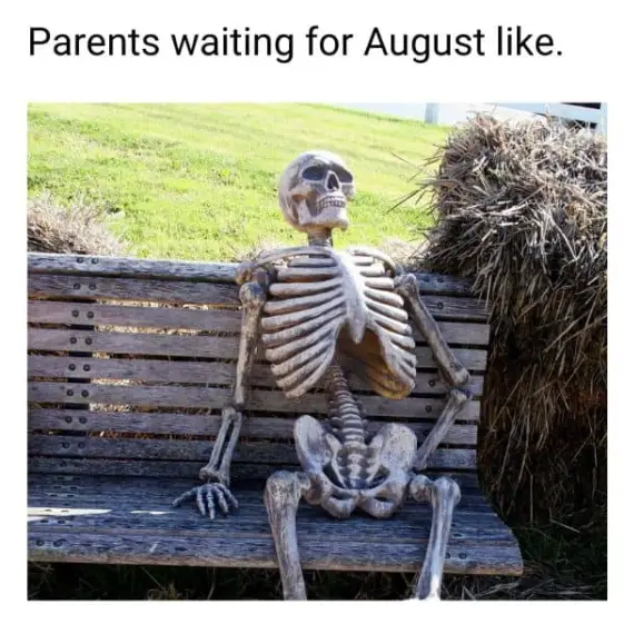 15 Funny August Memes That Are Absolute Gold In 2025