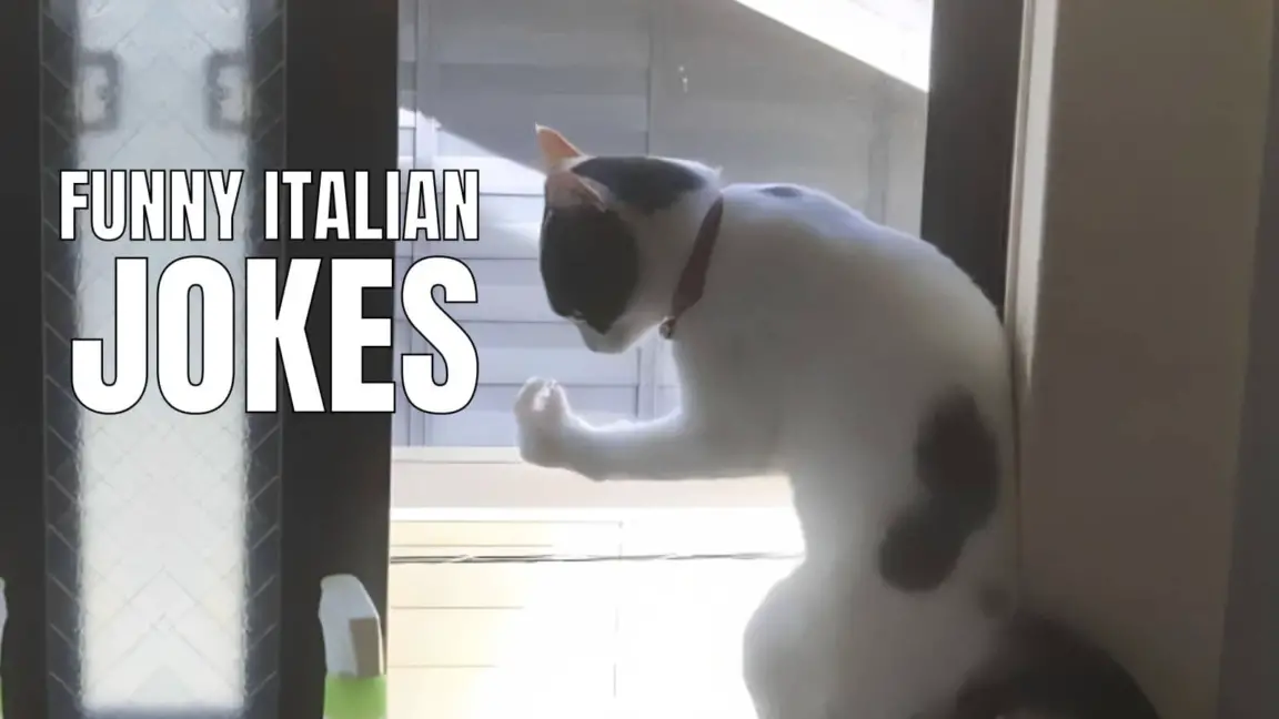 70 Funny Polish Jokes That Should Be Banned In Poland