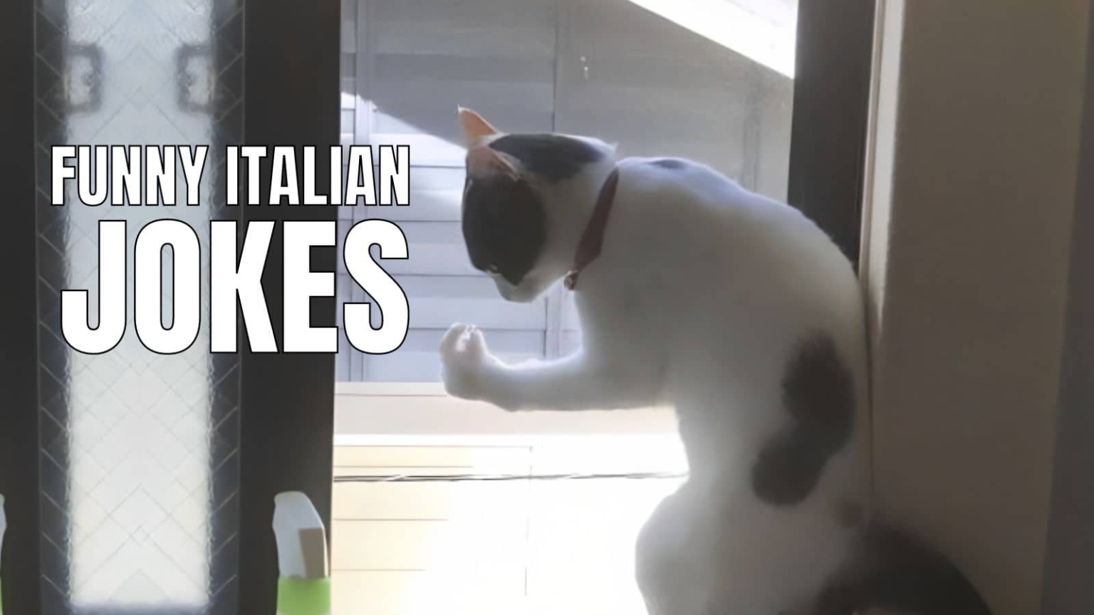 75 Funny Filipino Jokes & Puns For Hearty Pinoy Laughs