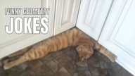 80 Funny Geometry Jokes That Make Every Angle Hilarious