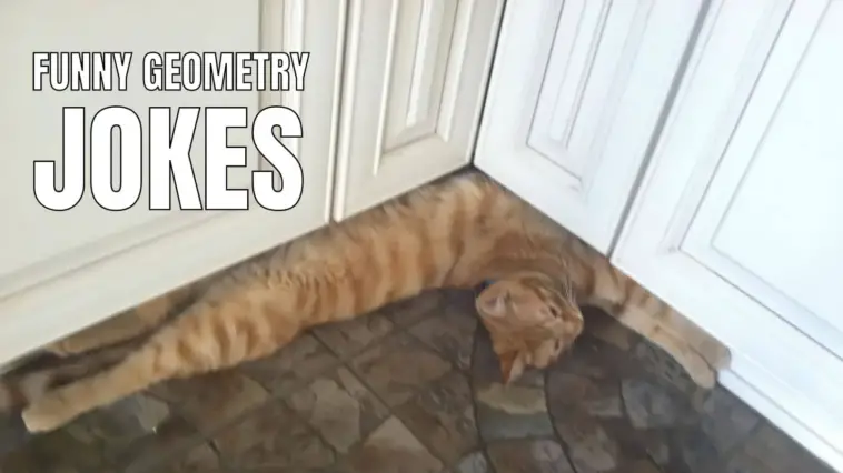 80 Funny Geometry Jokes That Make Every Angle Hilarious