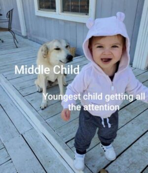 20 Funny Middle Child Memes That Are Relatable In 2025